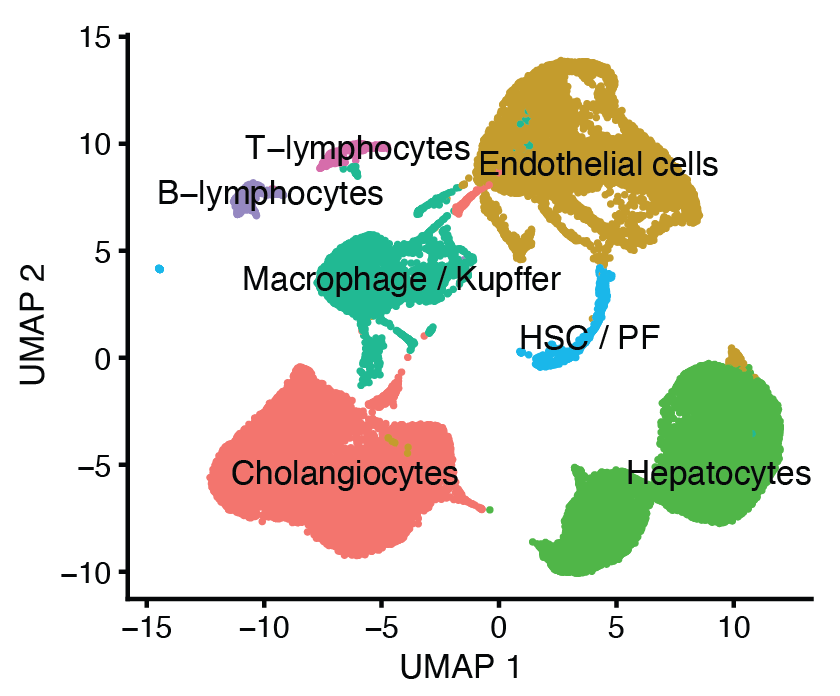 Single-cell RNAseq analysis of liver cells